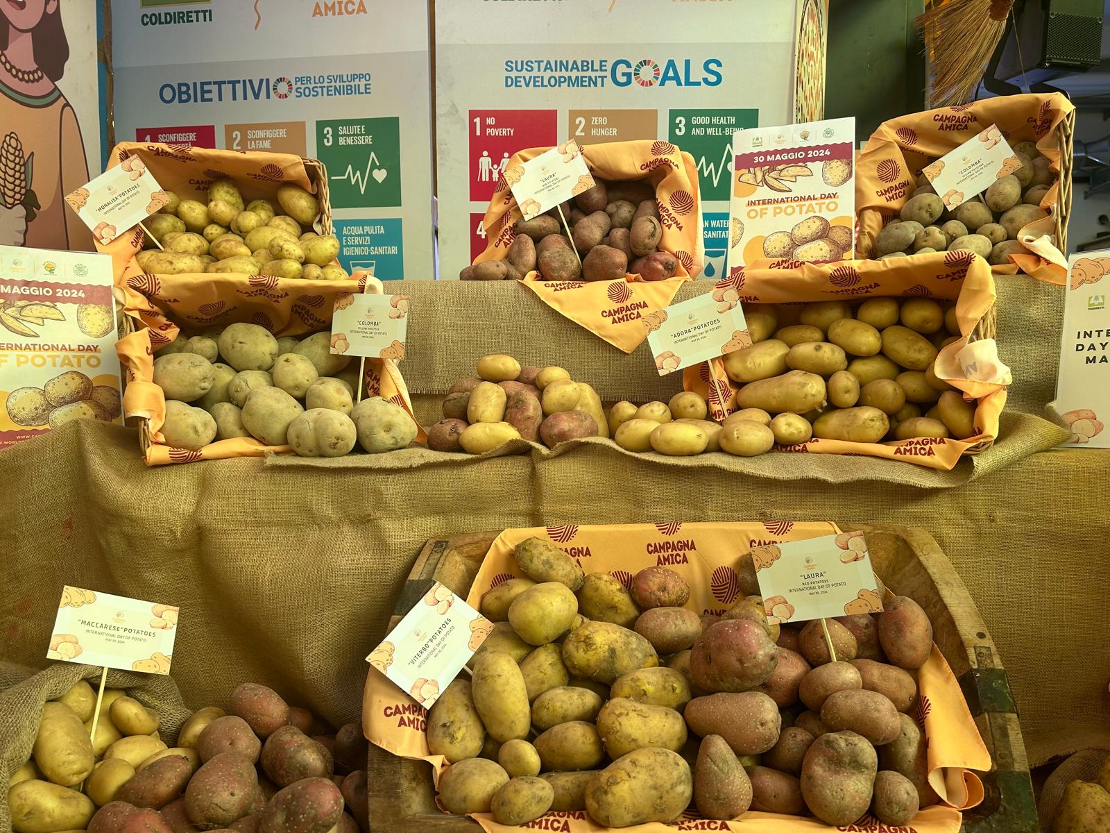 May 30: International Day of Potato – World Farmers Markets Coalition